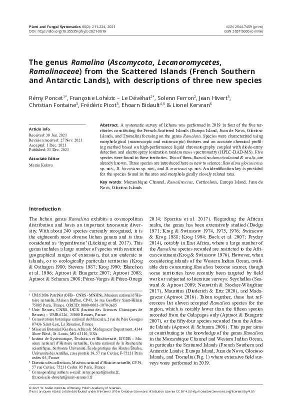 (PDF) The genus Ramalina (Ascomycota, Lecanoromycetes, Ramalinaceae ...