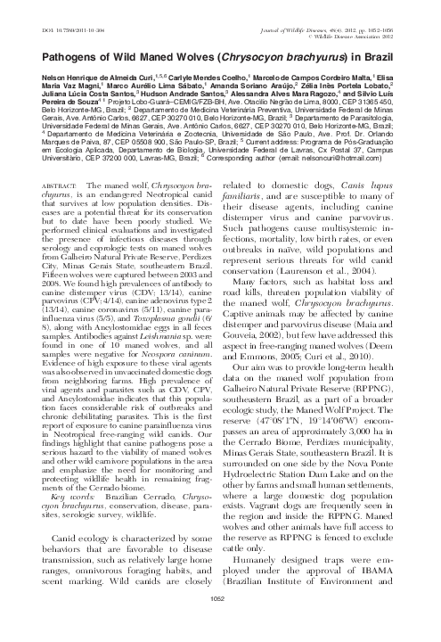 (PDF) Pathogens of Wild Maned Wolves (Chrysocyon brachyurus) in Brazil
