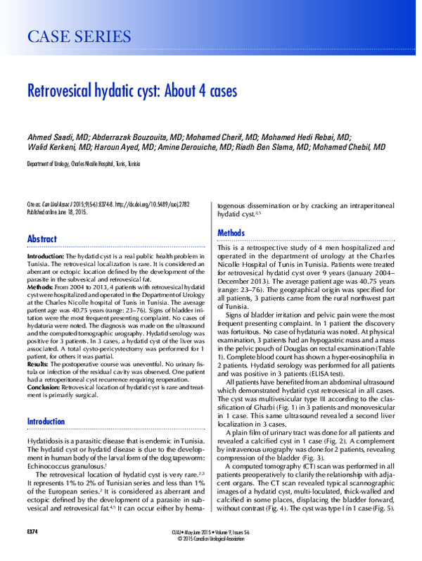 (PDF) Retrovesical hydatic cyst : About 4 cases