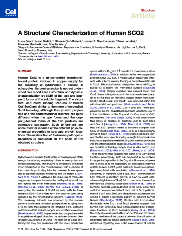 (PDF) A Structural Characterization of Human SCO2