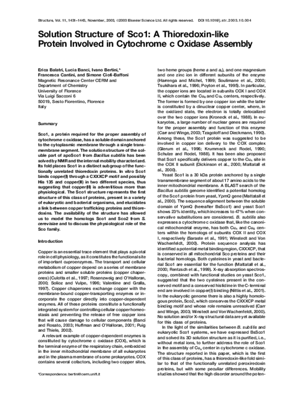 (PDF) Solution Structure of Sco1