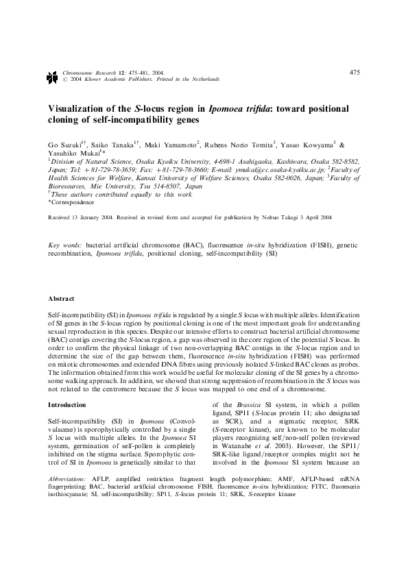 Visualization of the S-locus region in Ipomoea trifida: toward ...