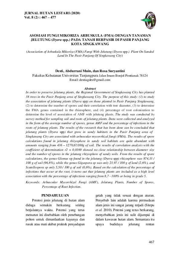 ASOSIASI FUNGI MIKORIZA ARBUSKULA (FMA) DENGAN TANAMAN JELUTUNG (Dyera ...