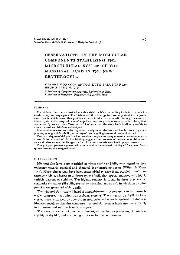 (PDF) Observations on the molecular components stabilizing the ...