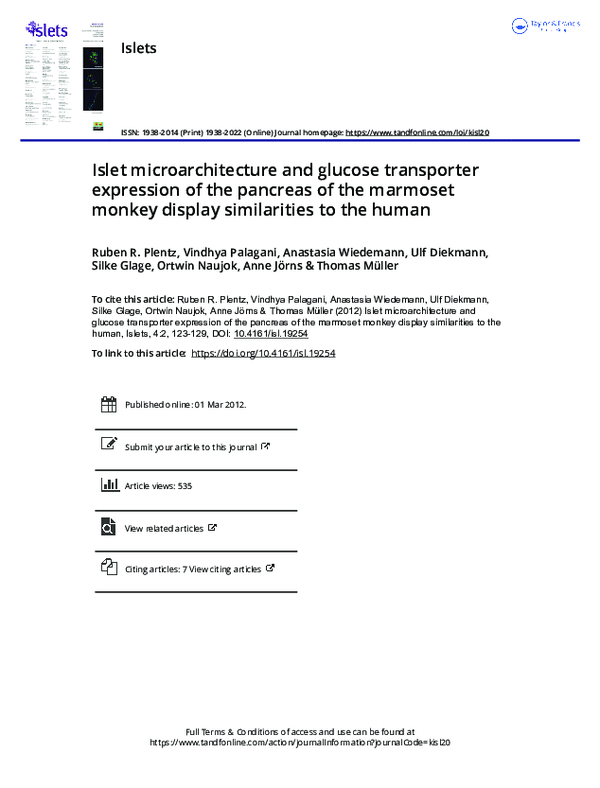 (PDF) Islet microarchitecture and glucose transporter expression of the ...