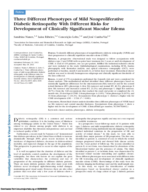 (PDF) Three Different Phenotypes of Mild Nonproliferative Diabetic ...
