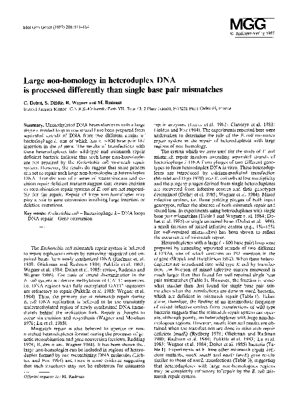 (PDF) Large non-homology in heteroduplex DNA is processed differently than single base pair ...