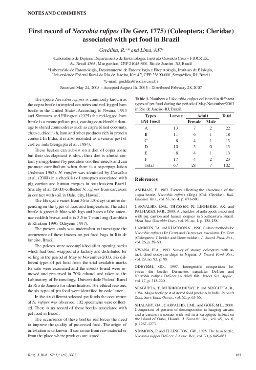 (PDF) First record of Necrobia rufipes (De Geer, 1775) (Coleoptera ...
