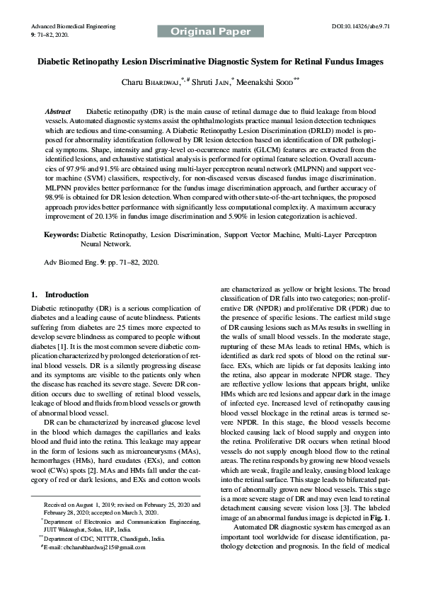 (PDF) Diabetic Retinopathy Lesion Discriminative Diagnostic System for Retinal Fundus Images