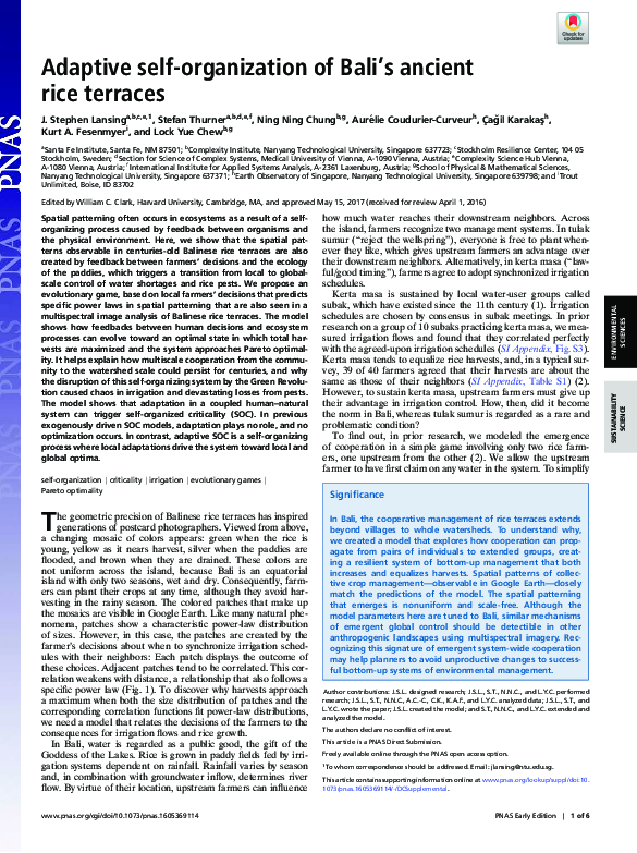 Adaptive self-organization of Bali’s ancient rice terraces