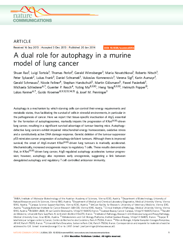 (PDF) A dual role for autophagy in a murine model of lung cancer