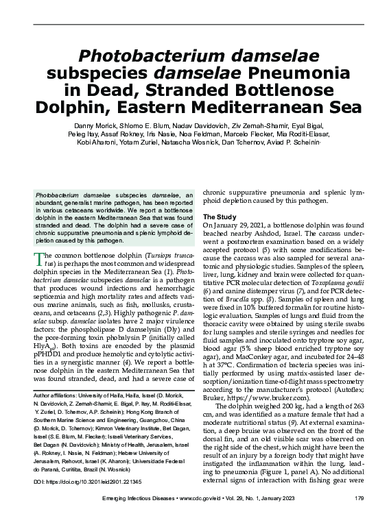 Photobacterium damselae subspecies damselae Pneumonia in Dead, Stranded ...