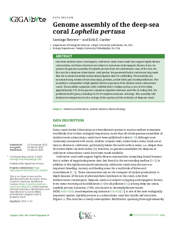 (PDF) Genome assembly of the deep-sea coral Lophelia pertusa