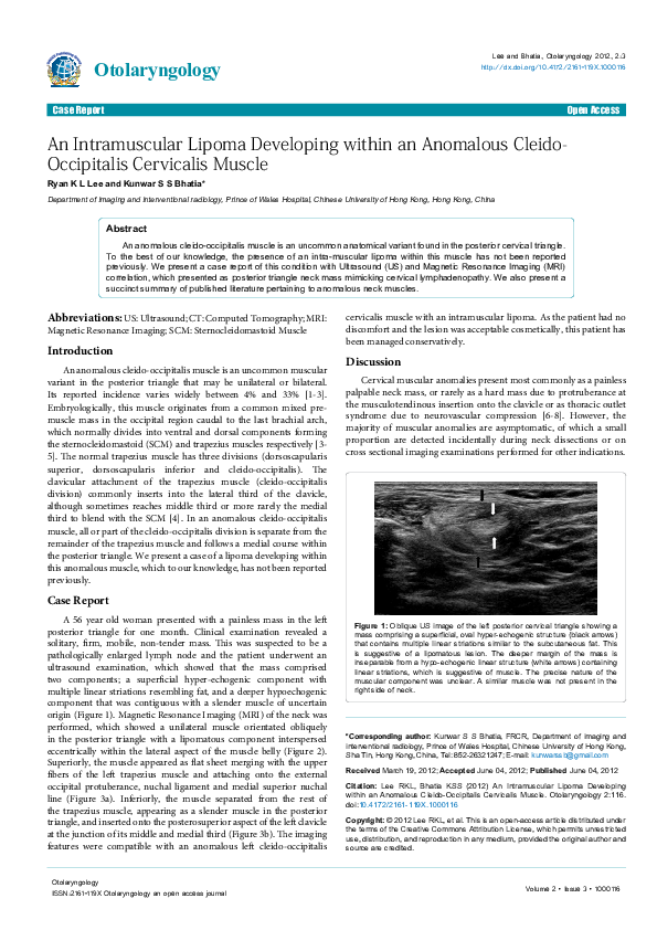 (PDF) An Intramuscular Lipoma Developing within an Anomalous Cleido ...