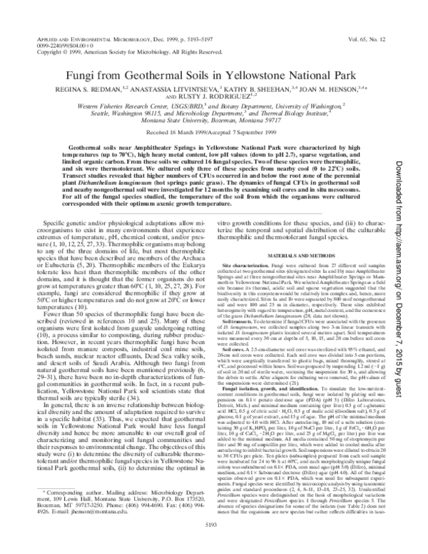 (PDF) Fungi from Geothermal Soils in Yellowstone National Park
