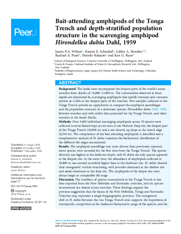 (PDF) Bait-attending amphipods of the Tonga Trench and depth-stratified ...