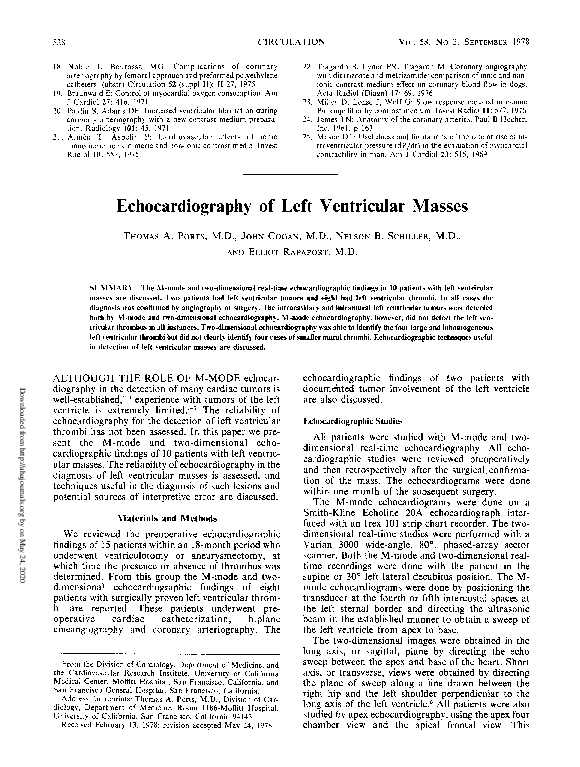 (PDF) Echocardiography of left ventricular masses