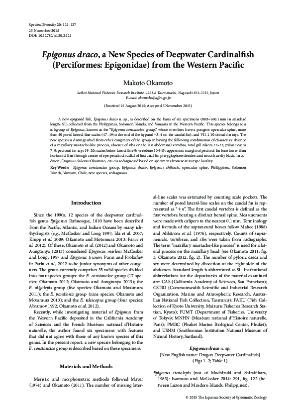(PDF) Epigonus draco, a New Species of Deepwater Cardinalfish ...