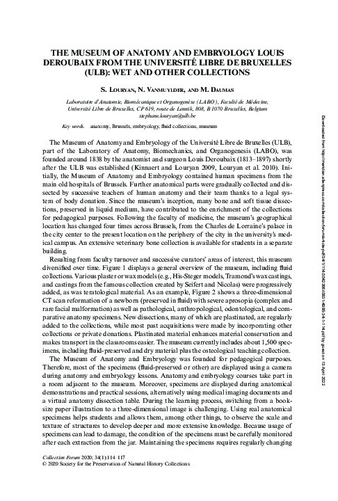 (PDF) The Museum of Anatomy and Embryology Louis Deroubaix from the ...