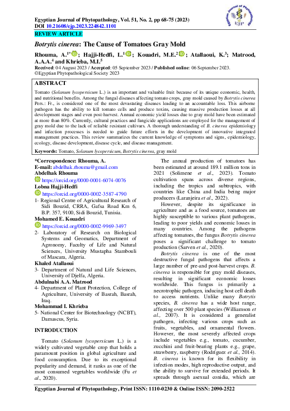 (PDF) Botrytis cinerea: The Cause of Tomatoes Gray Mold