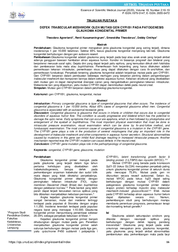 (PDF) Defek Trabecular Meshwork Oleh Mutasi Gen CYP1B1 Pada Patogenesis ...