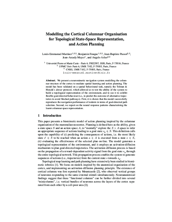 (PDF) Modelling the cortical columnar organisation for topological state-space representation ...