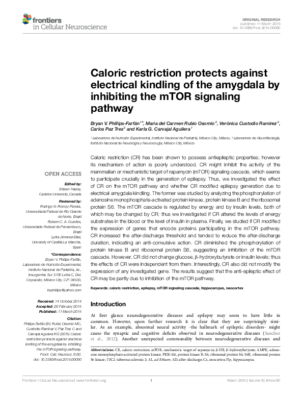 (PDF) Caloric restriction protects against electrical kindling of the ...