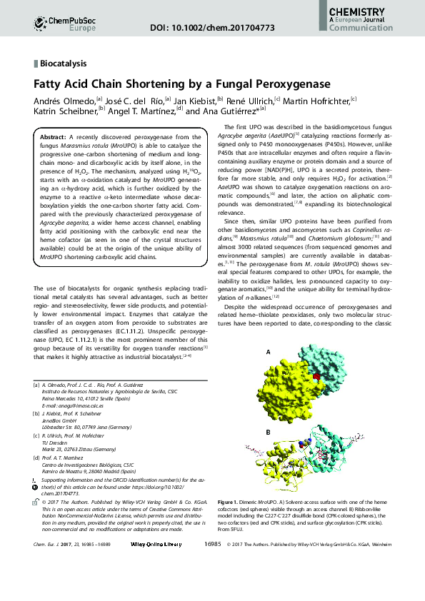 (PDF) Fatty Acid Chain Shortening by a Fungal Peroxygenase