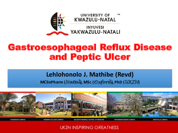 (PDF) Lehlohonolo J. Mathibe (Revd