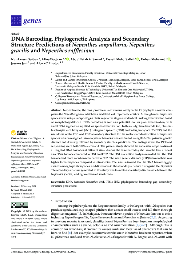 (PDF) DNA Barcoding, Phylogenetic Analysis and Secondary Structure Predictions of Nepenthes ...