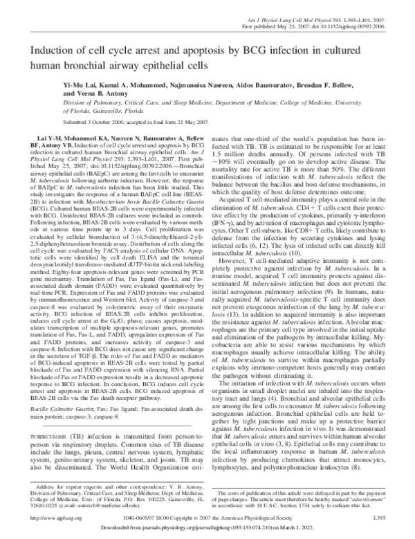 (PDF) Induction of cell cycle arrest and apoptosis by BCG infection in ...