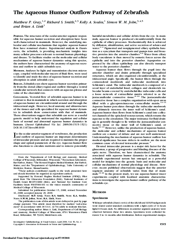 The Aqueous Humor Outflow Pathway of Zebrafish
