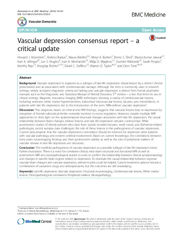 (PDF) Vascular depression consensus report – a critical update