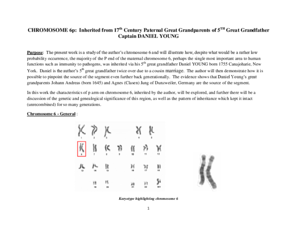 (PDF) CHROMOSOME 6p: Inherited from 17 th Century Paternal Great ...