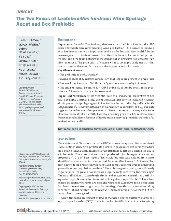 (PDF) The Two Faces of Lactobacillus kunkeei: Wine Spoilage Agent and ...
