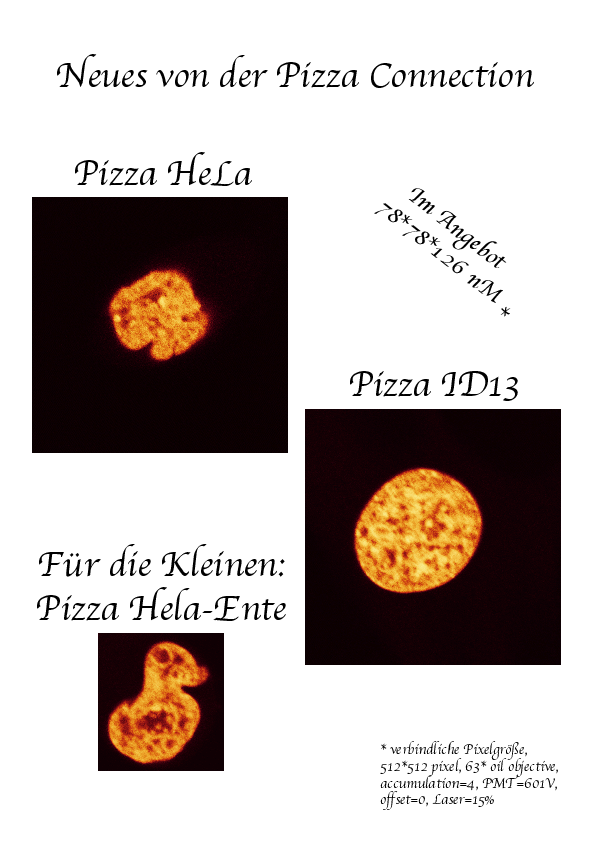 (PDF) News from the Pizza-Connection