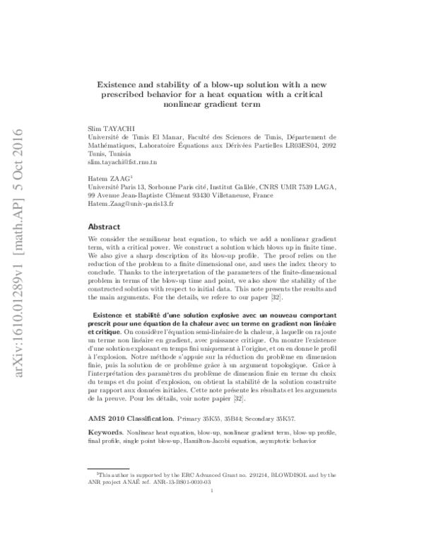 (PDF) Existence and stability of a blow-up solution with a new prescribed behavior for a heat ...