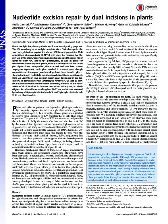(PDF) Nucleotide excision repair by dual incisions in plants