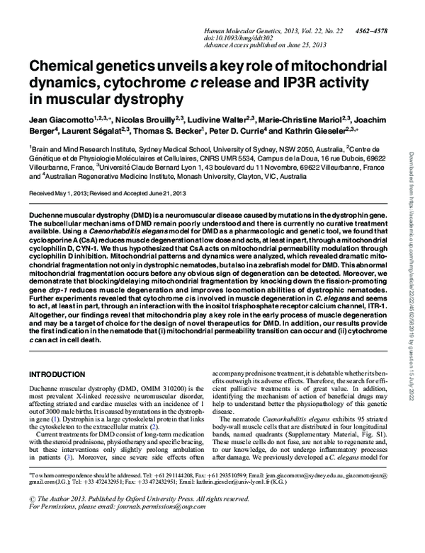 (PDF) Chemical genetics unveils a key role of mitochondrial dynamics, cytochrome c release and ...