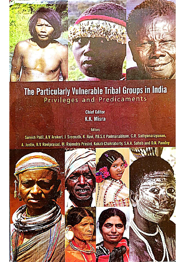 (PDF) The Paniyan of Tamil Nadu