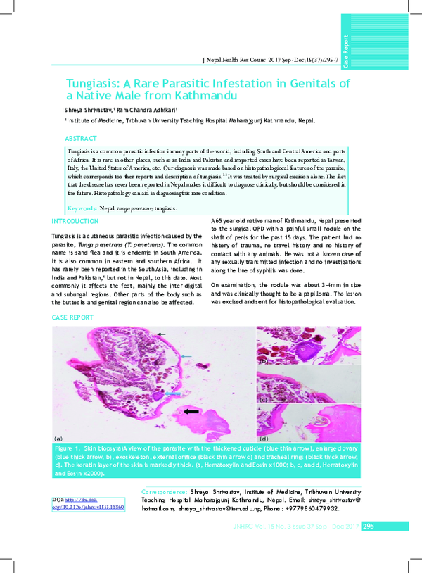 (PDF) Tungiasis: A Rare Parasitic Infestation in Genitals of a Native Male from Kathmandu