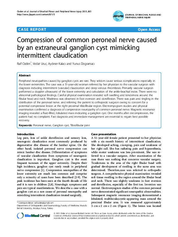 (PDF) Compression of common peroneal nerve caused by an extraneural ...