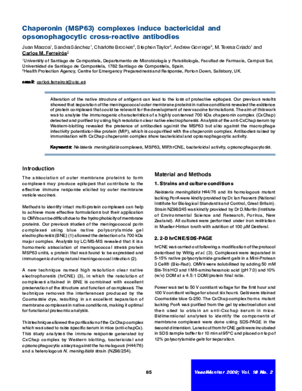 (PDF) Los complejos Chaperonina (MSP63) inducen anticuerpos de ...