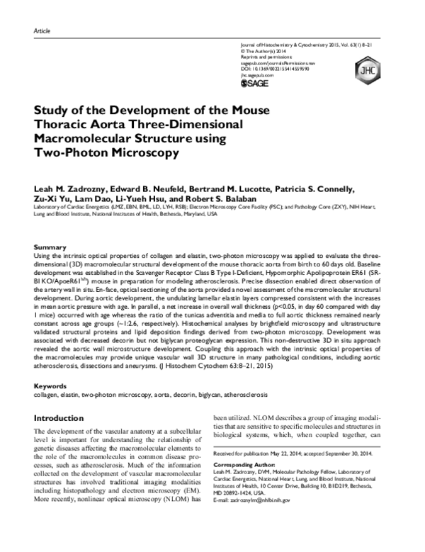(PDF) Study of the development of the mouse thoracic aorta three ...