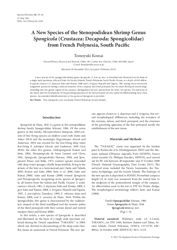 (PDF) A New Species of the Stenopodidean Shrimp Genus Spongicola ...