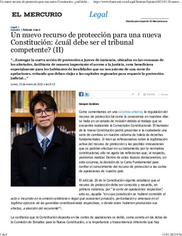 (PDF) Un nuevo recurso de protección para una nueva Constitución: ¿cuál ...