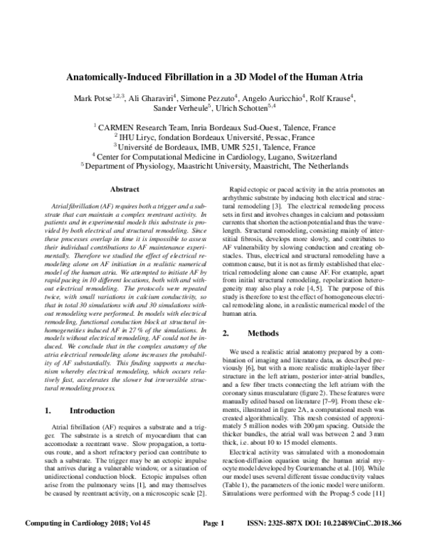 (PDF) Anatomically-Induced Fibrillation in a 3D Model of the Human Atria