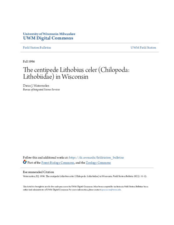 (PDF) The centipede Lithobius celer (Chilopoda: Lithobiidae) in Wisconsin