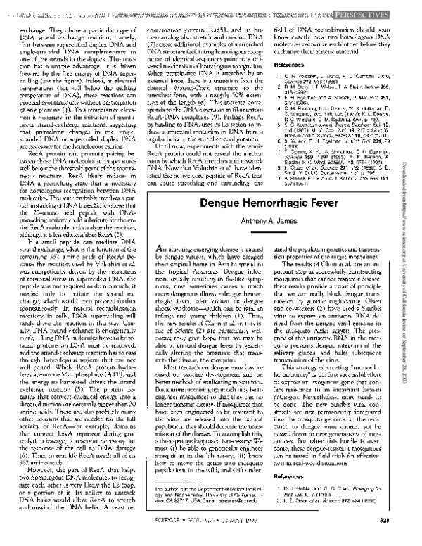 (PDF) Dengue Hemorrhagic Fever