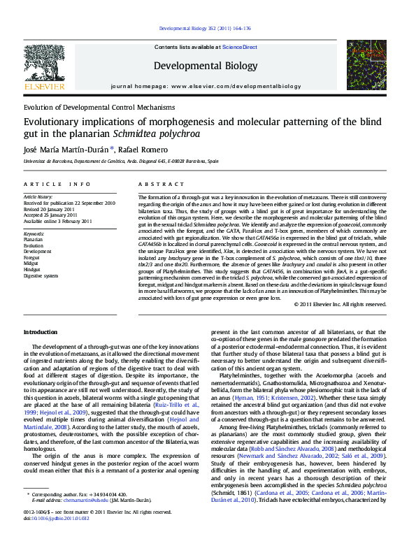 (PDF) Evolutionary implications of morphogenesis and molecular ...